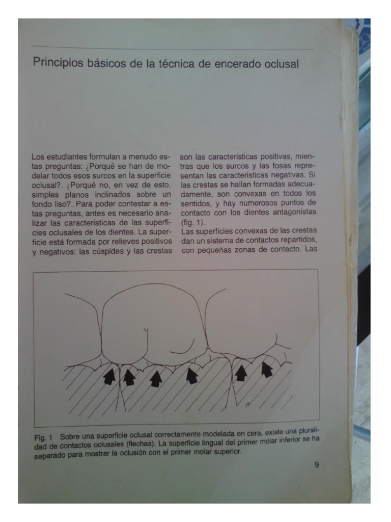 Manual de Encerado | PDF