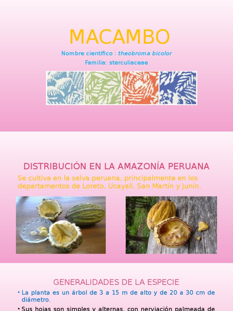 MACAMBO | PDF | Aluminio | Petróleo