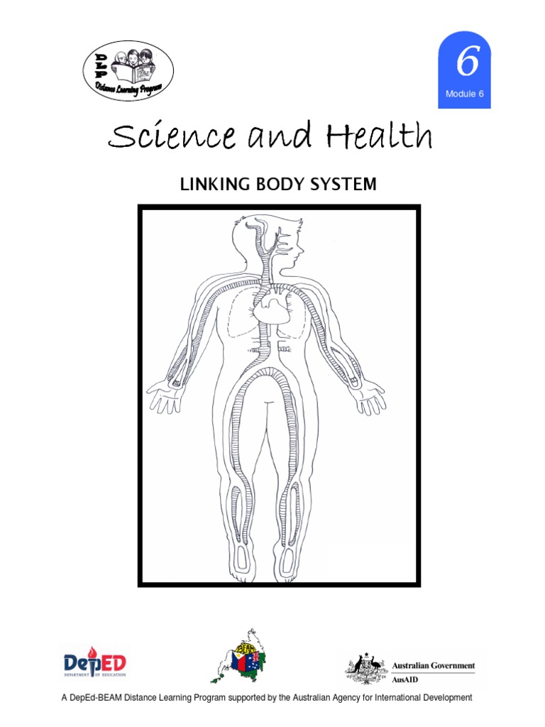 Science 6 DLP 6 - Linking Body System | PDF | Blood | Circulatory System