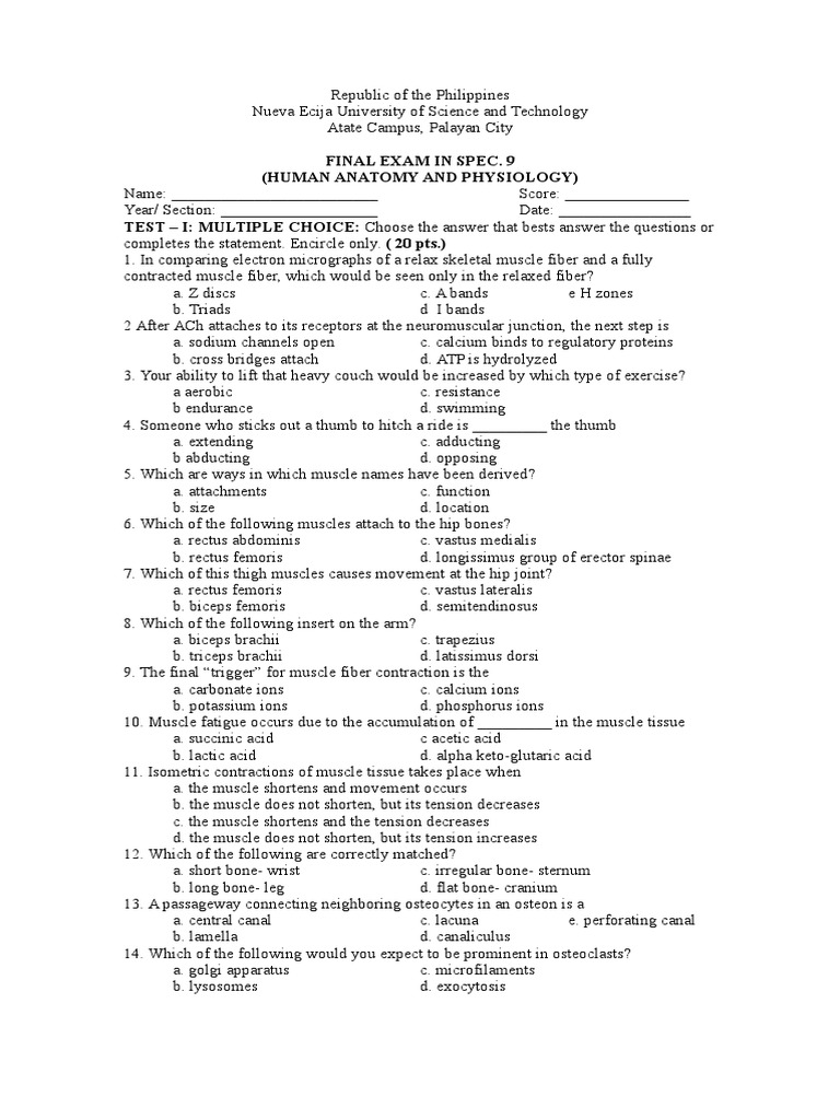 Anatomy and Physiology Final Exam | PDF | Neuron | Hormone