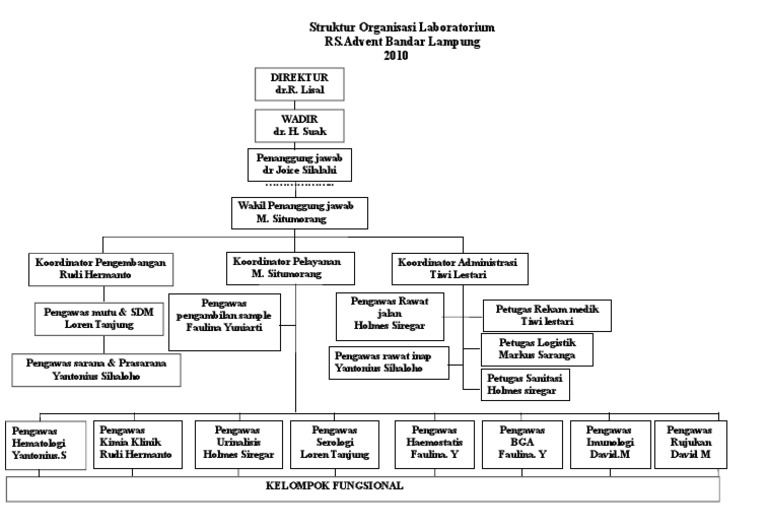 Struktur Organisasi Laboratorium | PDF