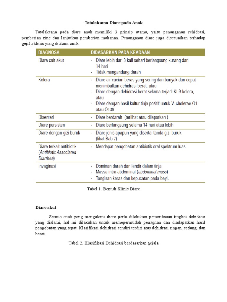 Tatalaksana Diare Pada Anak | PDF