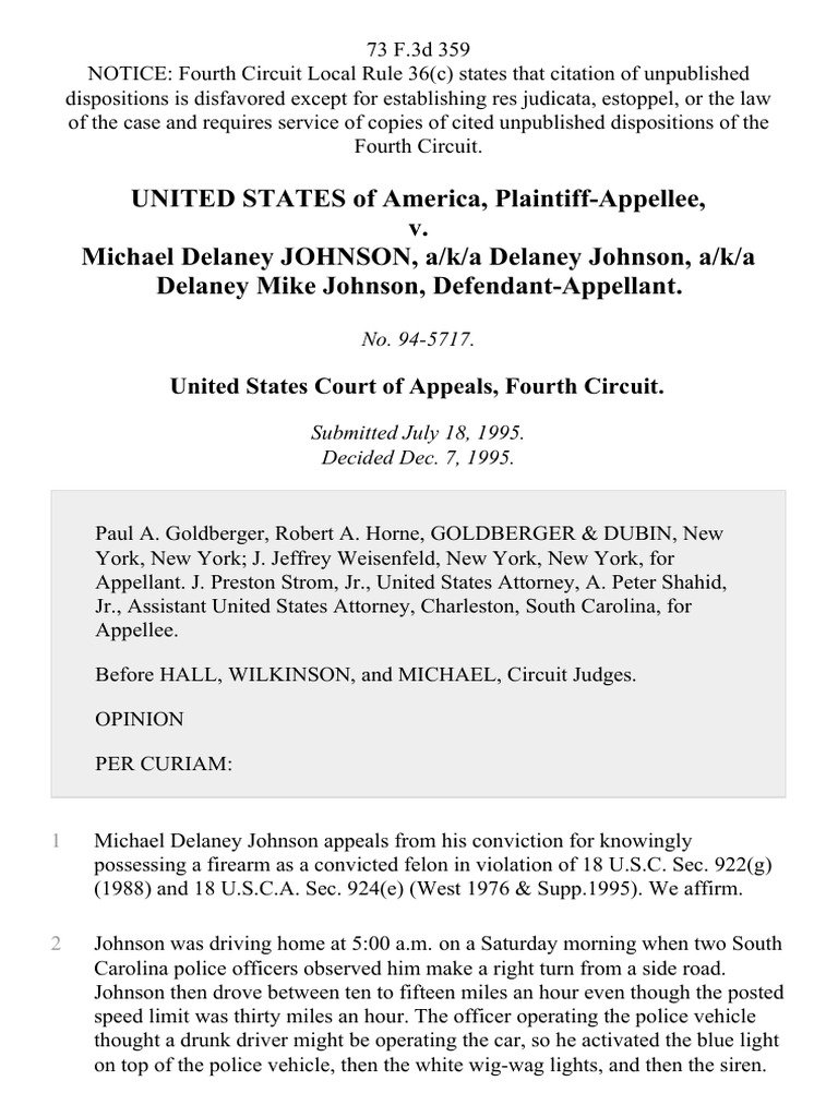 United States v. Michael Delaney Johnson, A/K/A Delaney Johnson, A/K/A ...