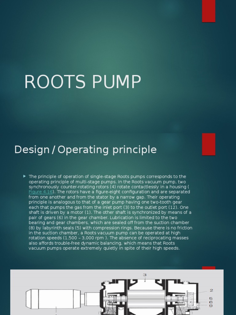 Roots Vacuum Pump Design Guide | PDF | Gas Compressor | Pump