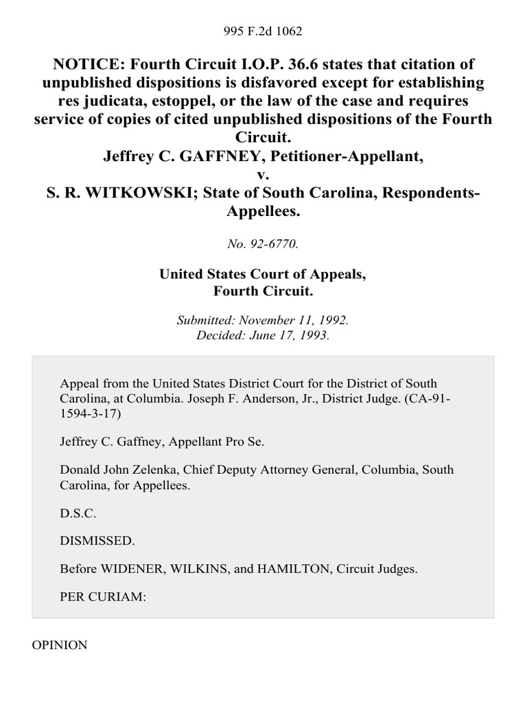 Jeffrey C. Gaffney v. S. R. Witkowski State of South Carolina, 995 F.2d ...