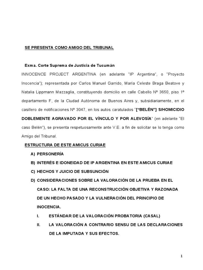 Amicus Curiae Caso Belén | Descargar gratis PDF | Derecho penal ...