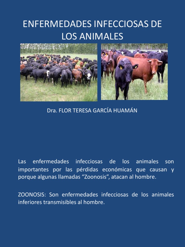 Enfermedades-infecciosas-animales.pdf | Ántrax | Infección