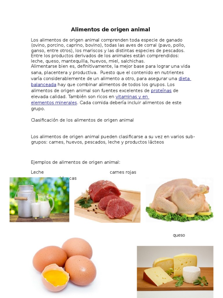 Alimentos de Origen Animal: Ejemplos y Clasificación | PDF