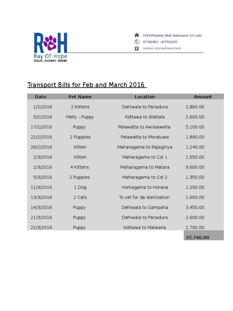 Transport Bills For Feb and March 2016 | PDF