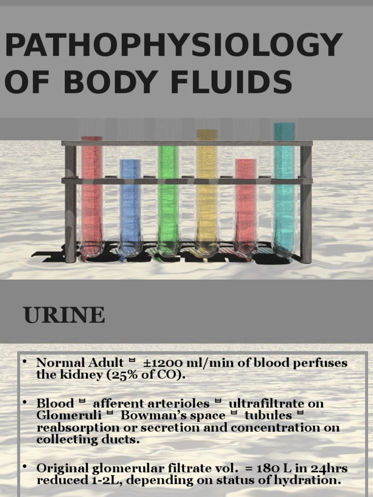 Pathophysiology Body Fluid | PDF | Kidney | Cerebrospinal Fluid
