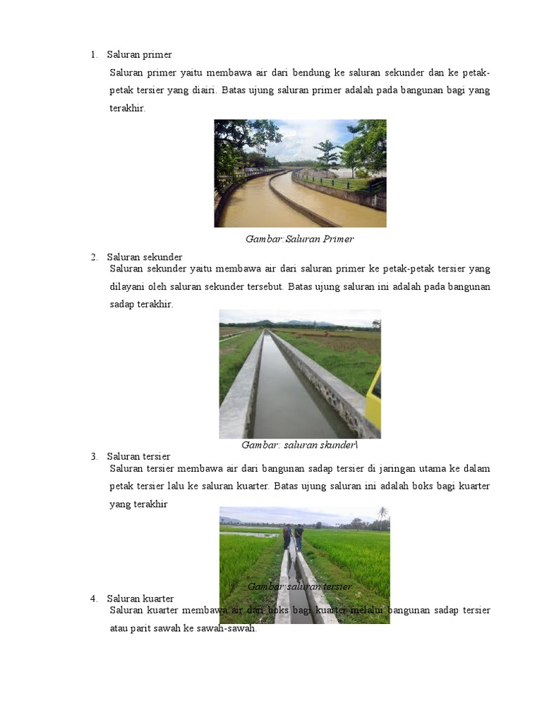 Saluran Primer | PDF