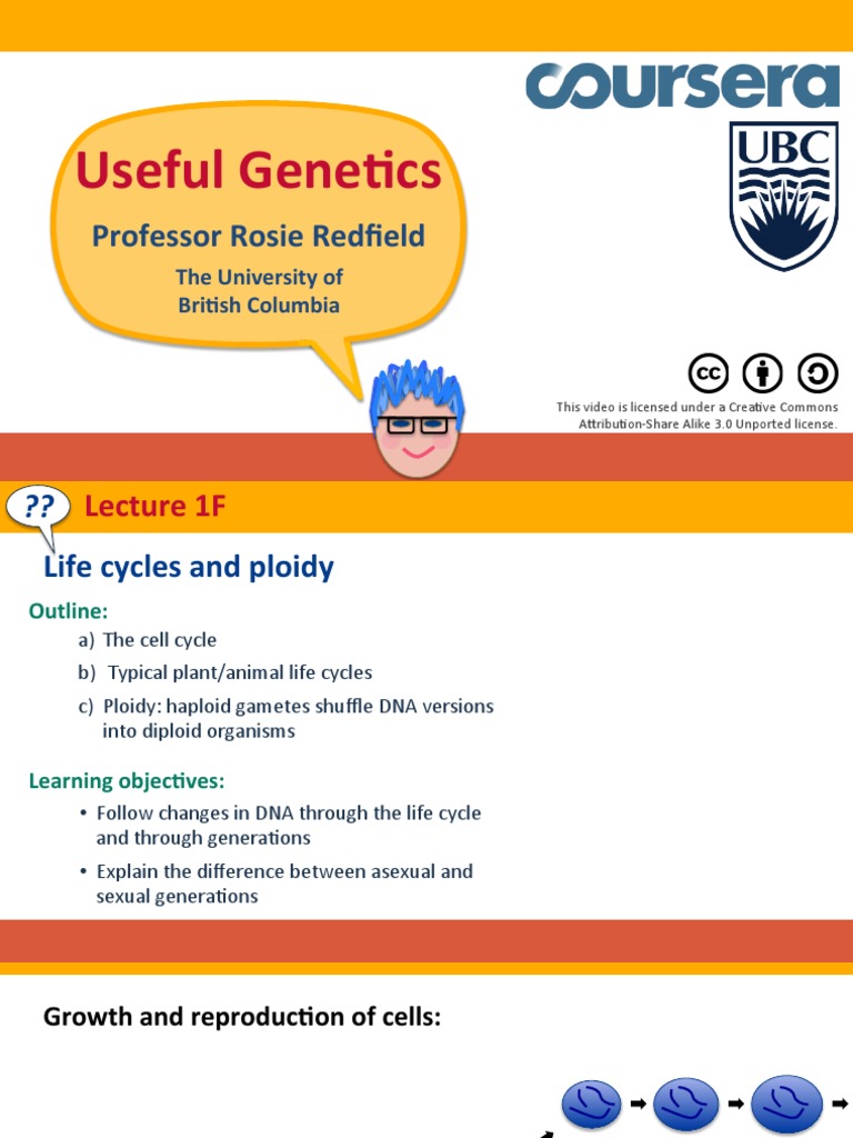 Gene*cs Life Cycles Ploidy Sexual Reproduc*on | PDF | Ploidy | Reproduction