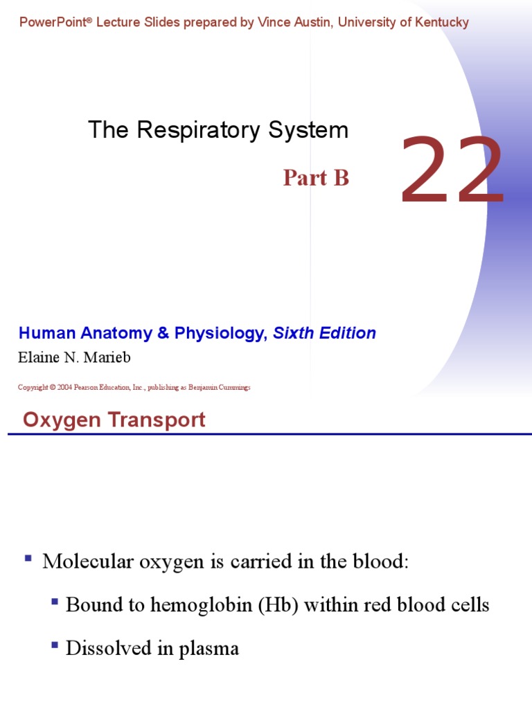 Respiration | PDF | Hemoglobin | Respiratory System