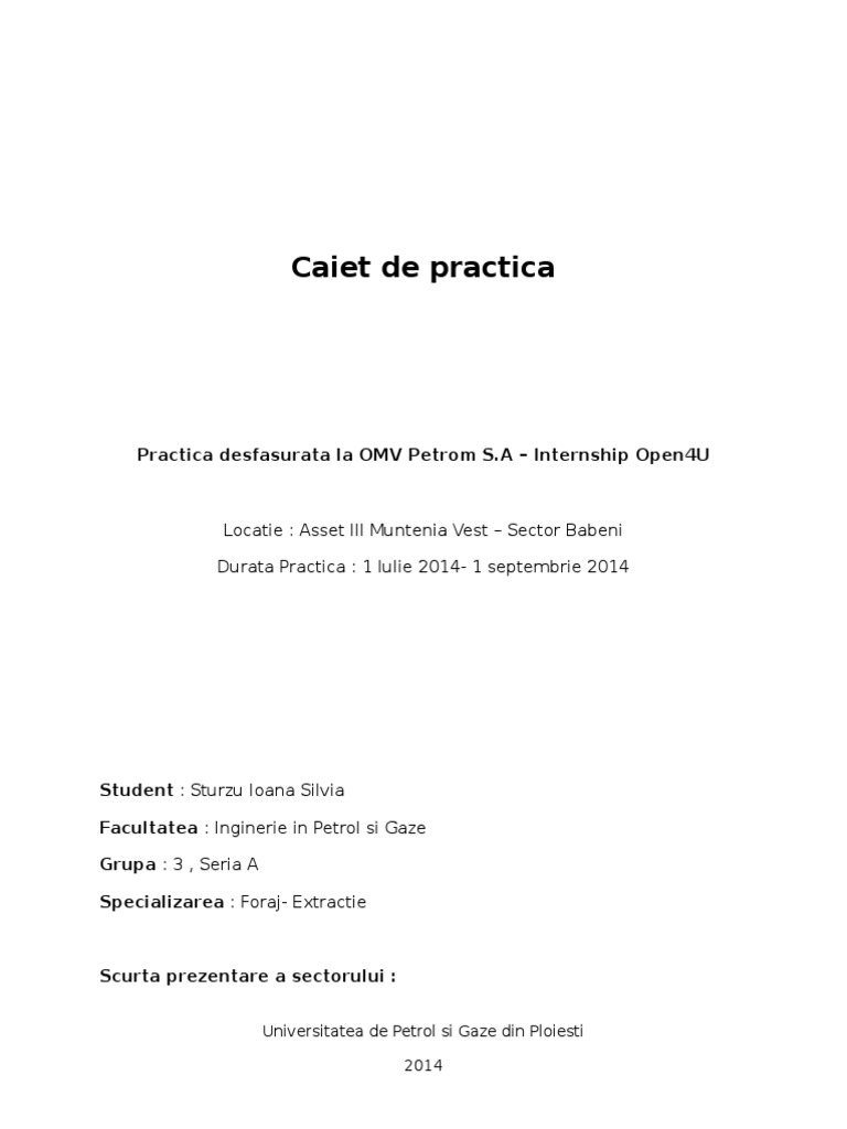 Caiet de Practica | PDF