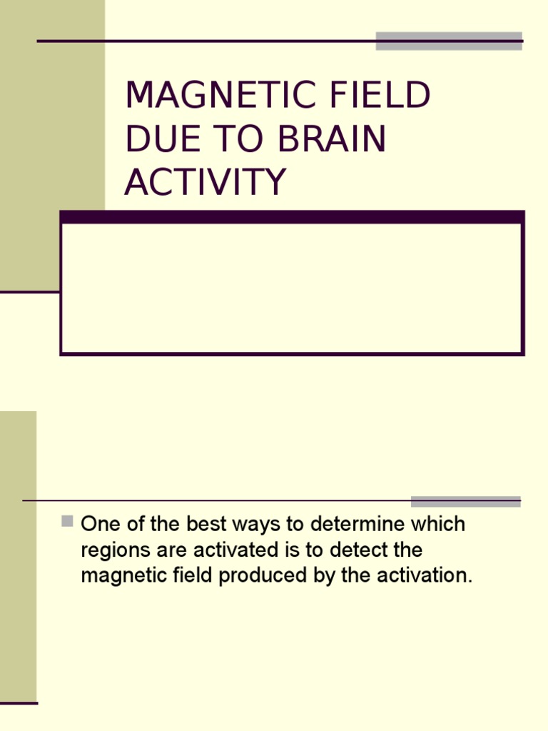 Brain Activity and Magnetic Fields | PDF | Magnetoencephalography ...