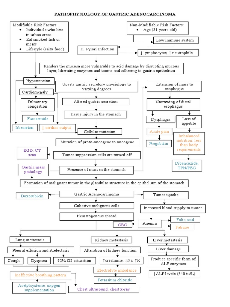 Pathophysiology of Gastric Adenocarcinoma