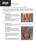 Mining Simulator Script | PDF | Computing | Computer Science