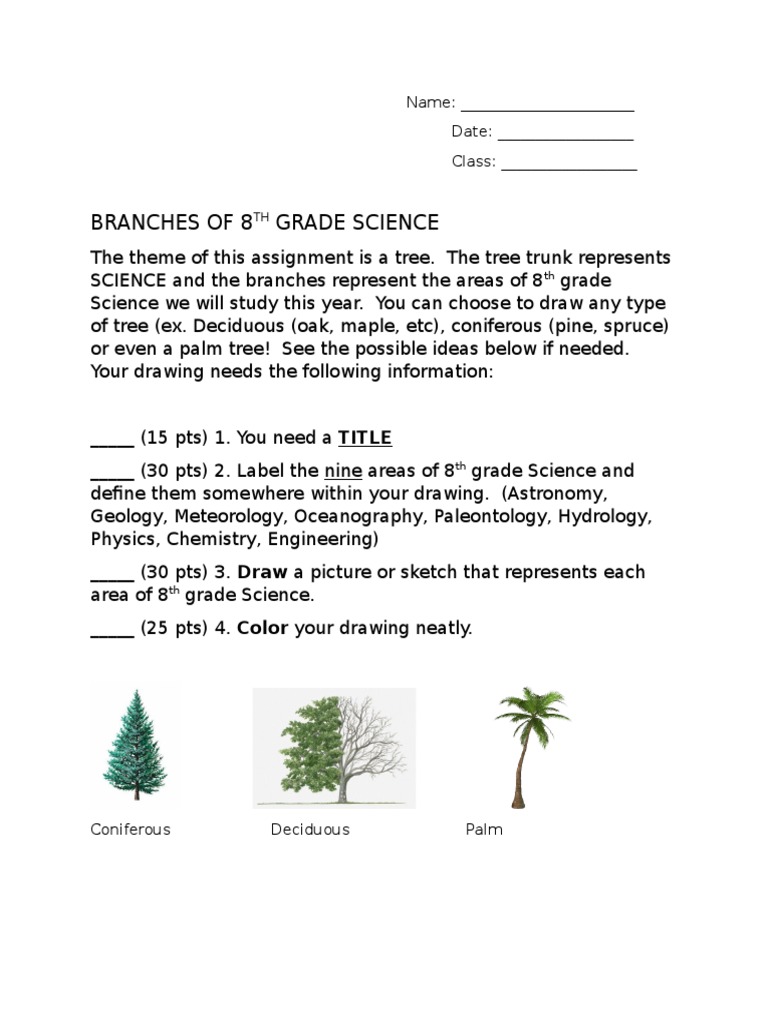 Branches of 8th Grade Science Project | PDF