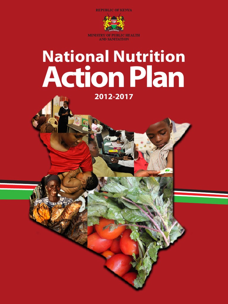 KENYA 2012 National Nutrition Action Plan 2012 - 2017 | PDF ...