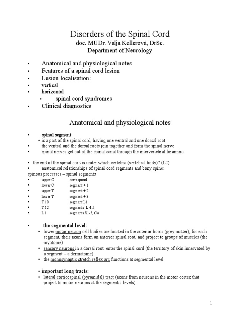 Disorders of The Spinal Cord | PDF | Spinal Cord | Vertebral Column