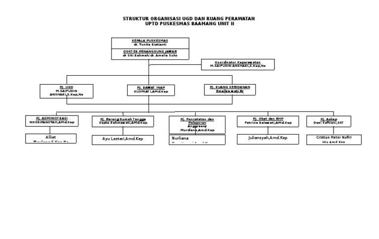 Struktur Organisasi Ugd Dan Rawat Inap | PDF