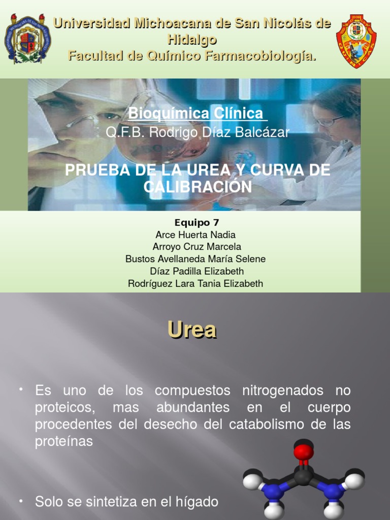 No. 7 Prueba de Urea | PDF | Riñón | Urea