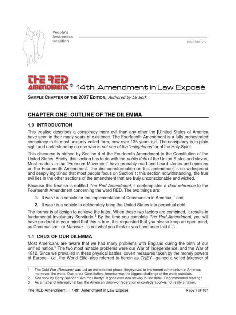 Red Amendment Promo | PDF | De Facto | United States Constitution