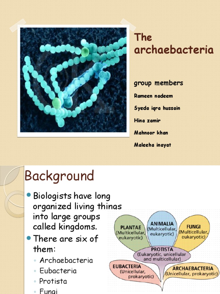 Archaebacteria: Group Members | PDF | Archaea | Cell (Biology)