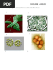 Microbe Mission Science Olympiad Cheat Sheet 2011 | Fungus