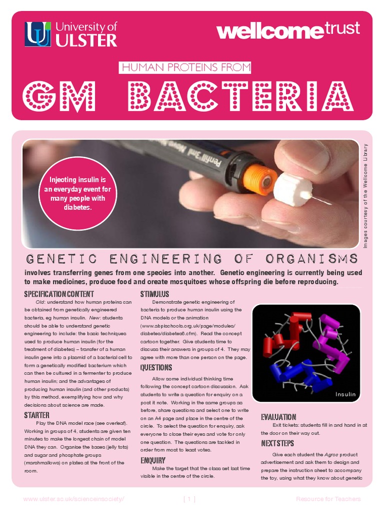 GM Bacteria: Genetic Engineering of Organisms | PDF | Genetic ...