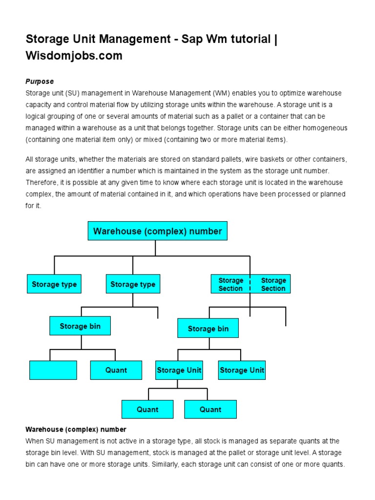 SAP WM: Storage Unit Management Guide | PDF | Warehouse | Identifier