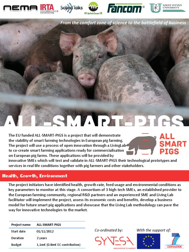 All Smart Pigs Flyer | PDF