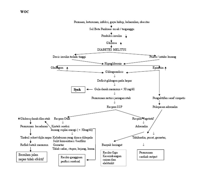 woc hipoglikemi