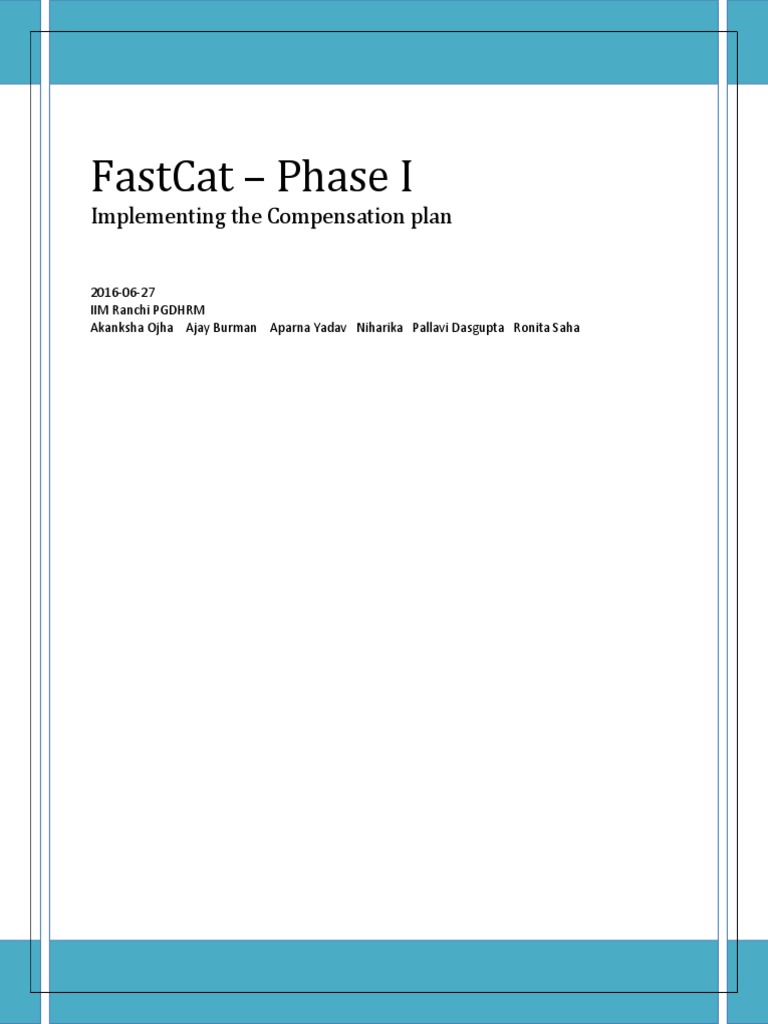 FastCat Phase 1 | PDF | Employment | Strategic Management