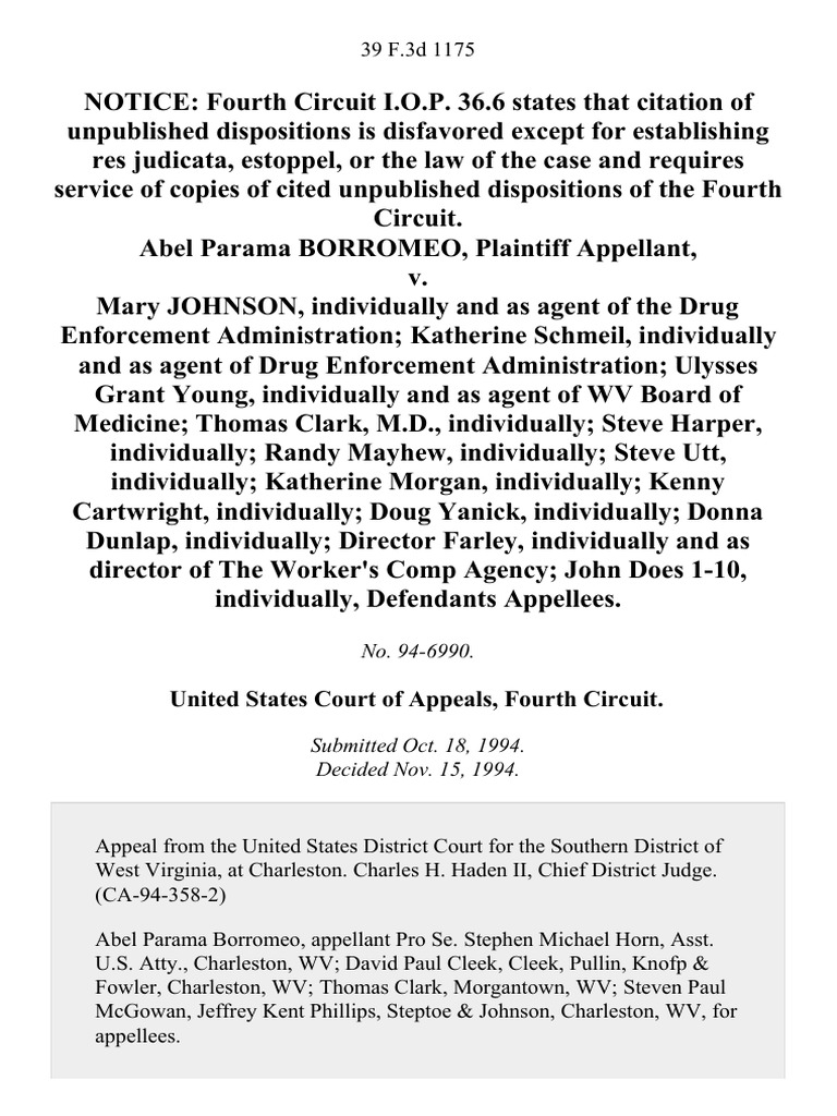 Borromeo v. Johnson Appeal Affirmed | PDF