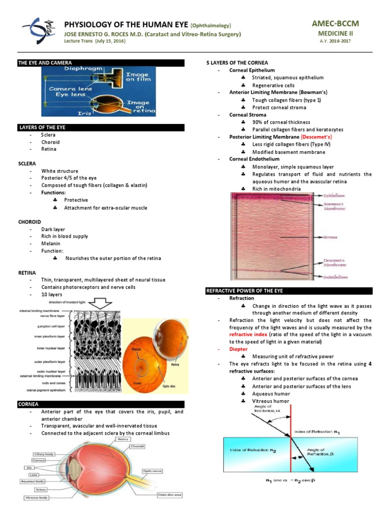 Physiology of Human Eye | PDF | Visual System | Cornea