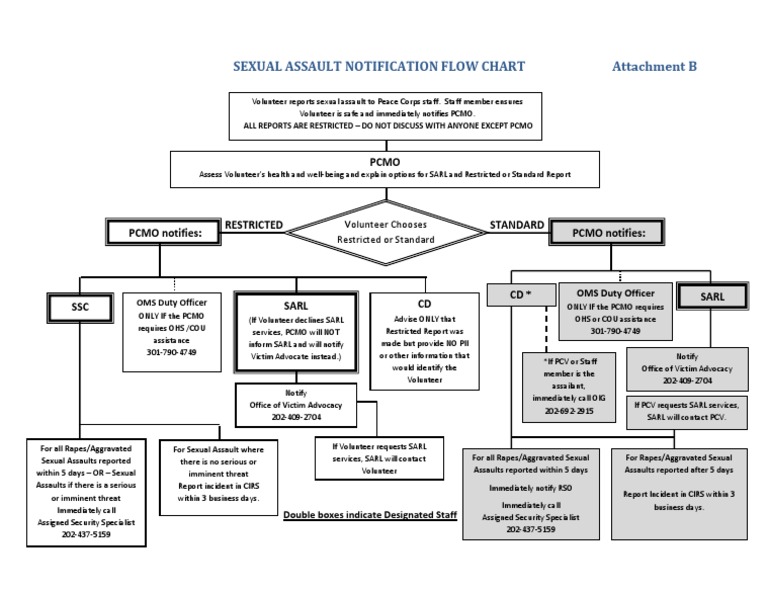 SEXUAL ASSAULT NOTIFICATION FLOW CHART Attachment B | PDF