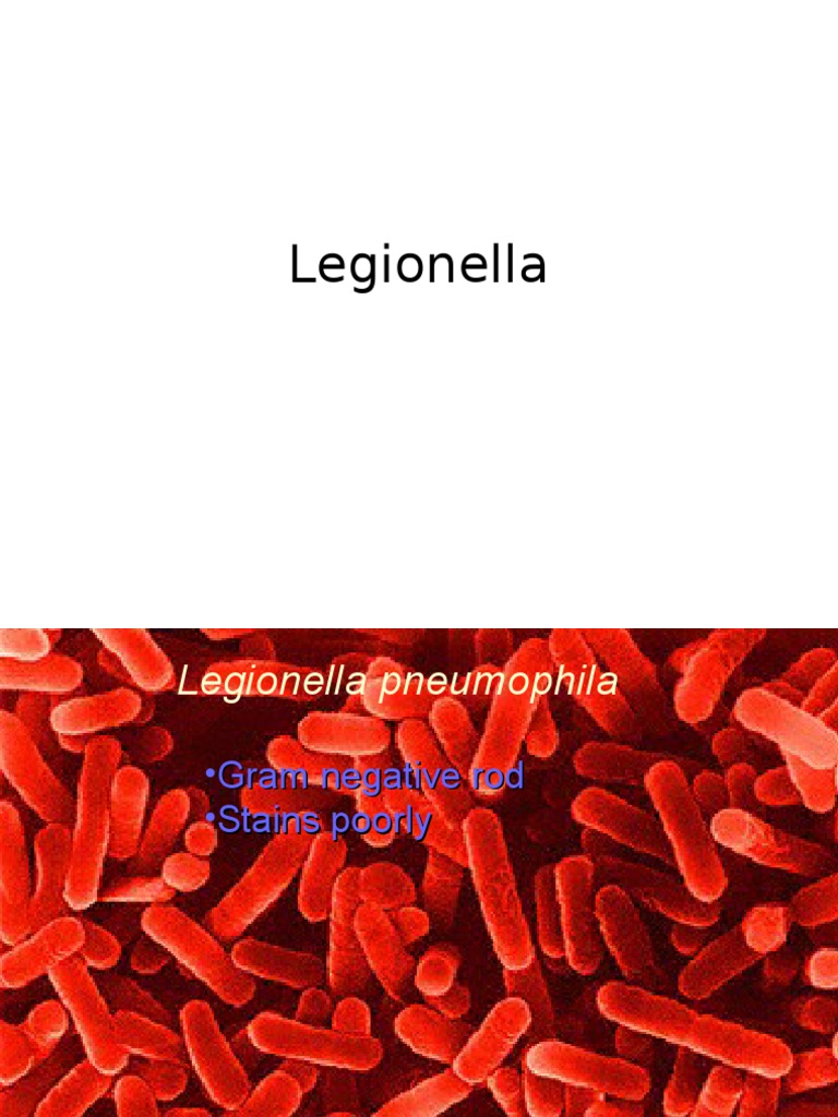 Legionella | PDF