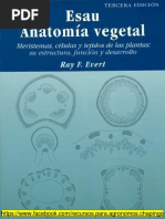 Atlas Anatomia Vegetal | PDF | Tallo de la planta | Biología Celular)