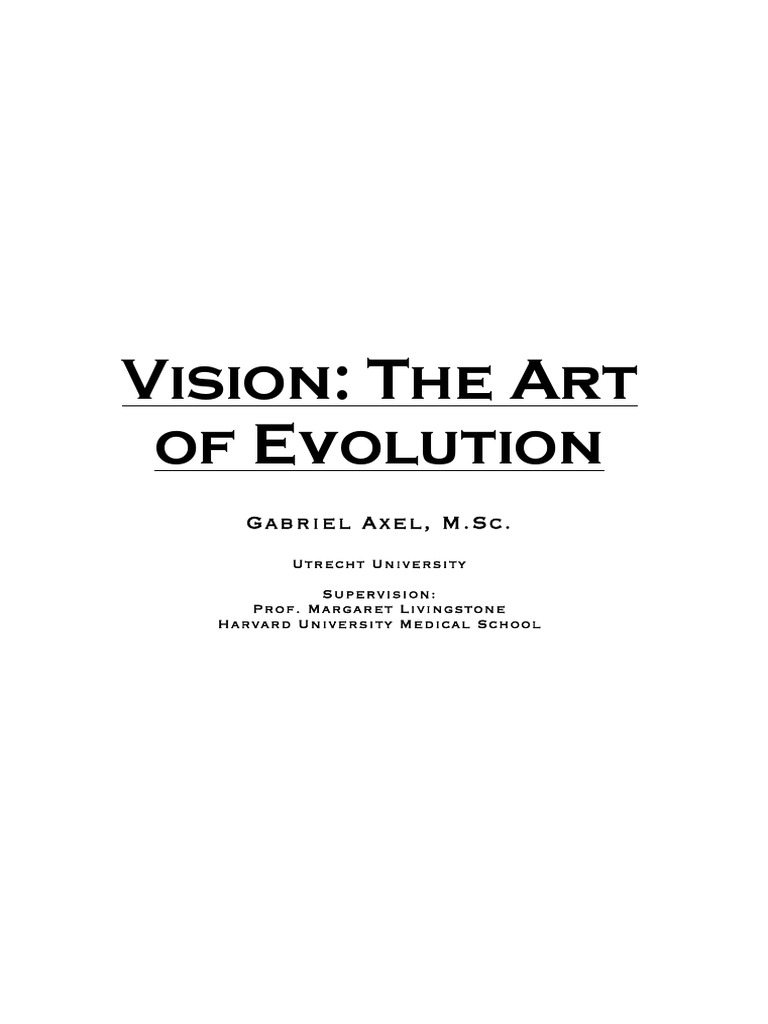 Gabriel Axel - Master Thesis - Vision The Art of Evolution (2010) | PDF ...