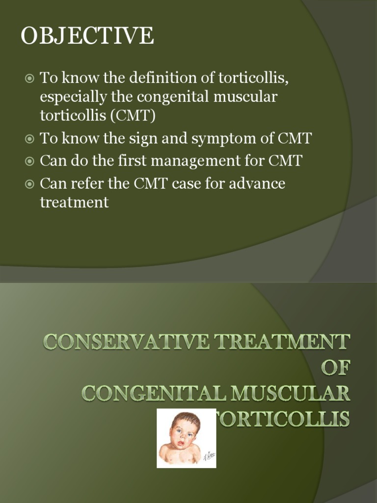 Torticollis Rehab Pdf Musculoskeletal System Clinical Medicine