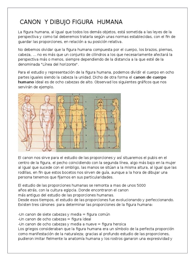 Canon Y Dibujo Figura Humana Pdf Homo Sapiens Dibujo