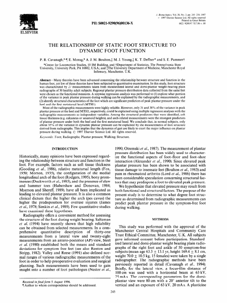 The Relationship of Static Foot Structure To Dynamic Foot Function ...