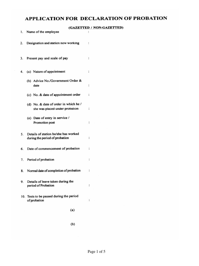 Probation Declaration Form