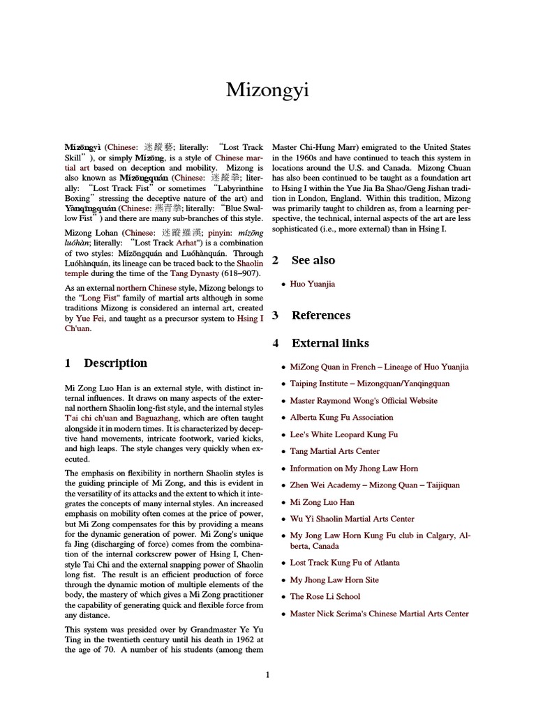 Mizongyi | PDF | East Asian Martial Arts | Chinese Martial Arts