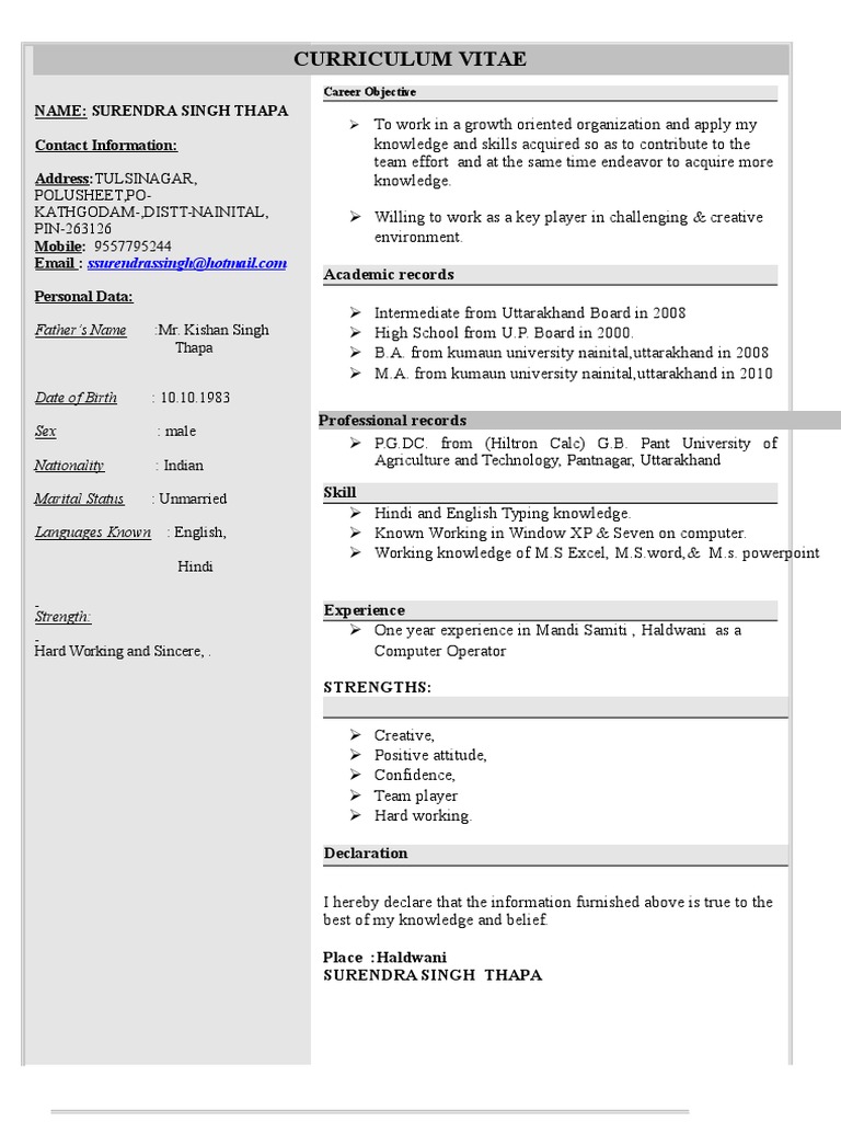 Curriculum Vitae of Surendra Singh Thapa Seeking a Challenging and Creative Work Environment | PDF