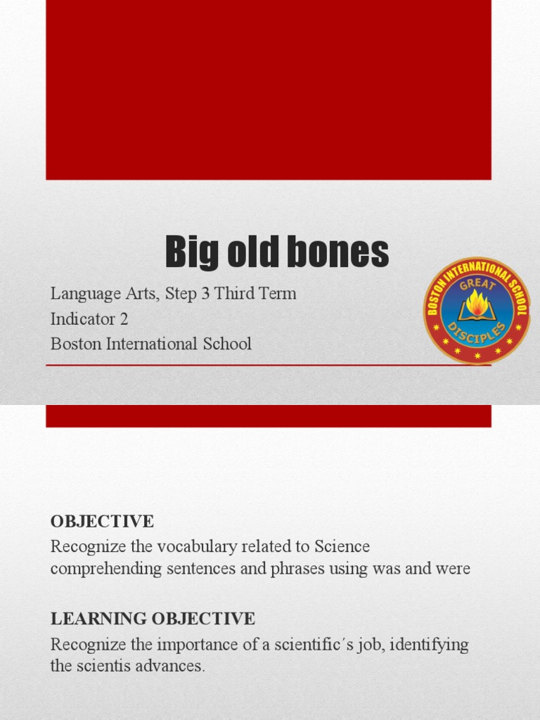 Science Vocabulary and Grammar Lesson | PDF