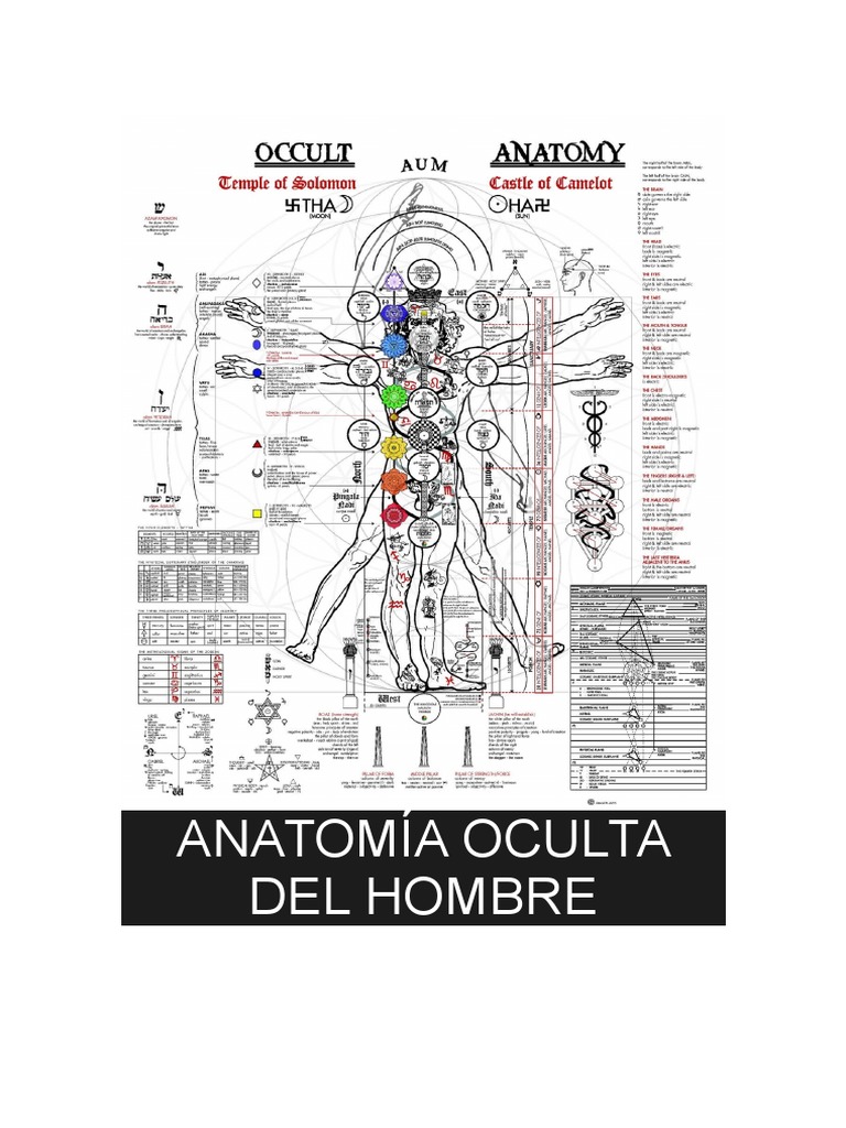 Anatomía Oculta Del Hombre | PDF