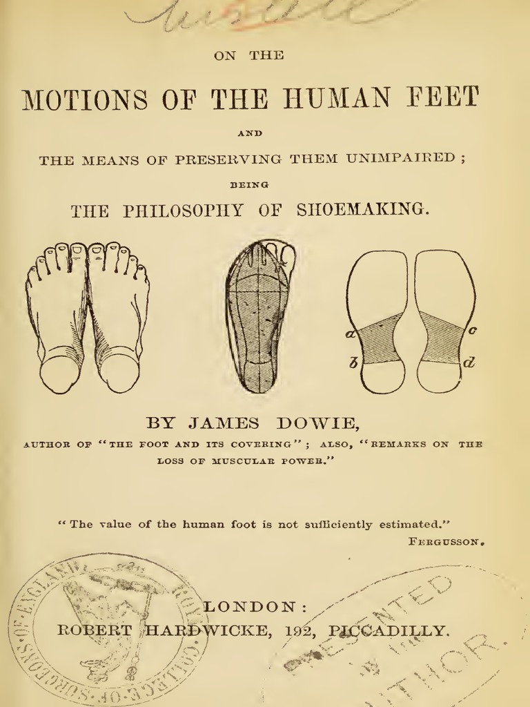 Motion of The Human Feet | PDF | Foot | Shoe