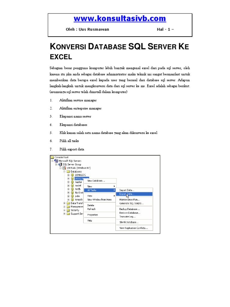 Konversi Database SQL Server Ke Excel | PDF